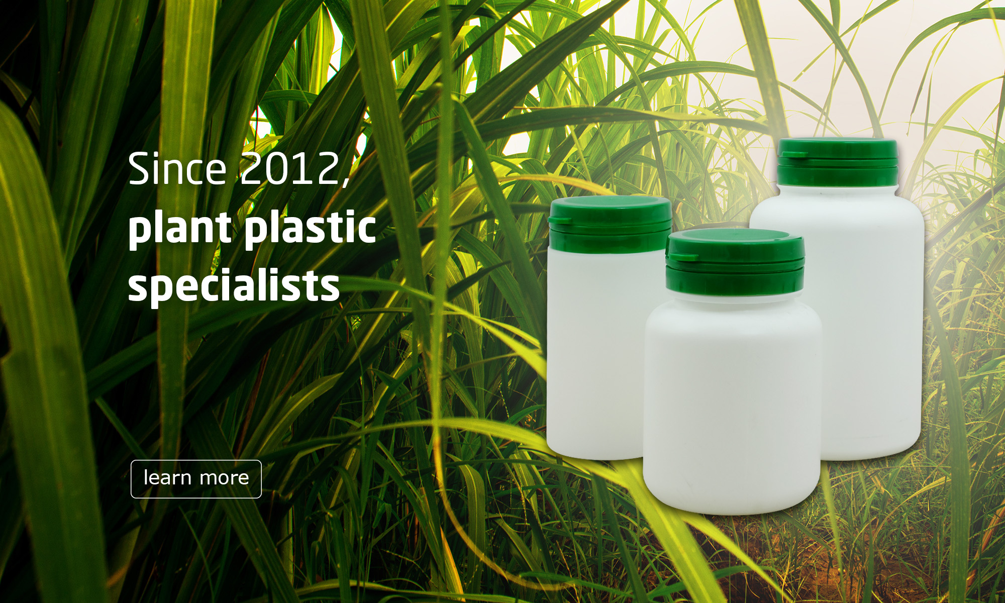 Home - SEMCO Monaco | Polyéthylène vert